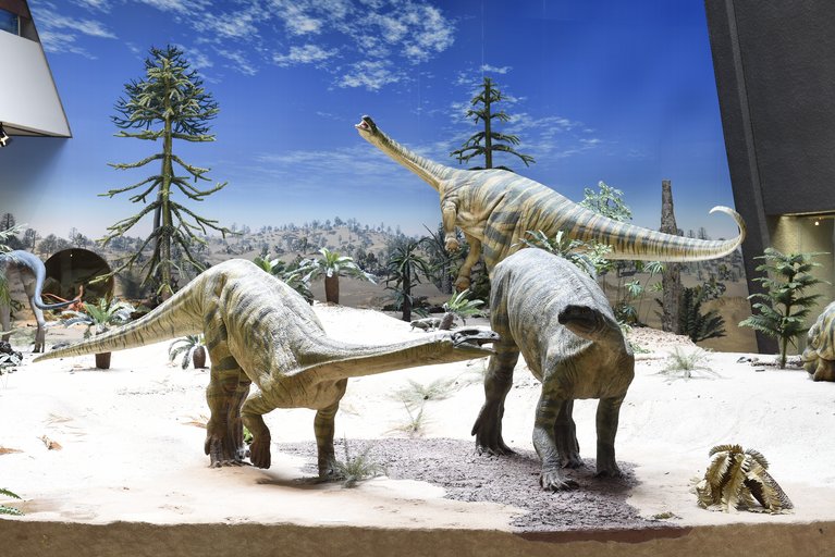 Plateosaurus trossingensis and the Dino Mania in Württemberg ...