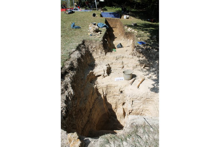 Faszination Vulkan: Das Randecker Maar | Staatliches Museum für ...