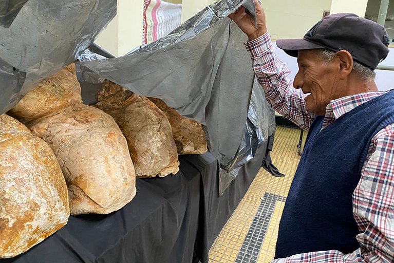 A whale of a discovery: Perucetus colossus, aka “the monster ...