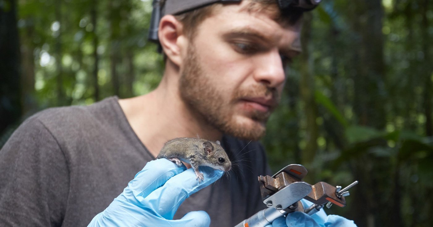 Quentin Martinez | Staatliches Museum für Naturkunde Stuttgart