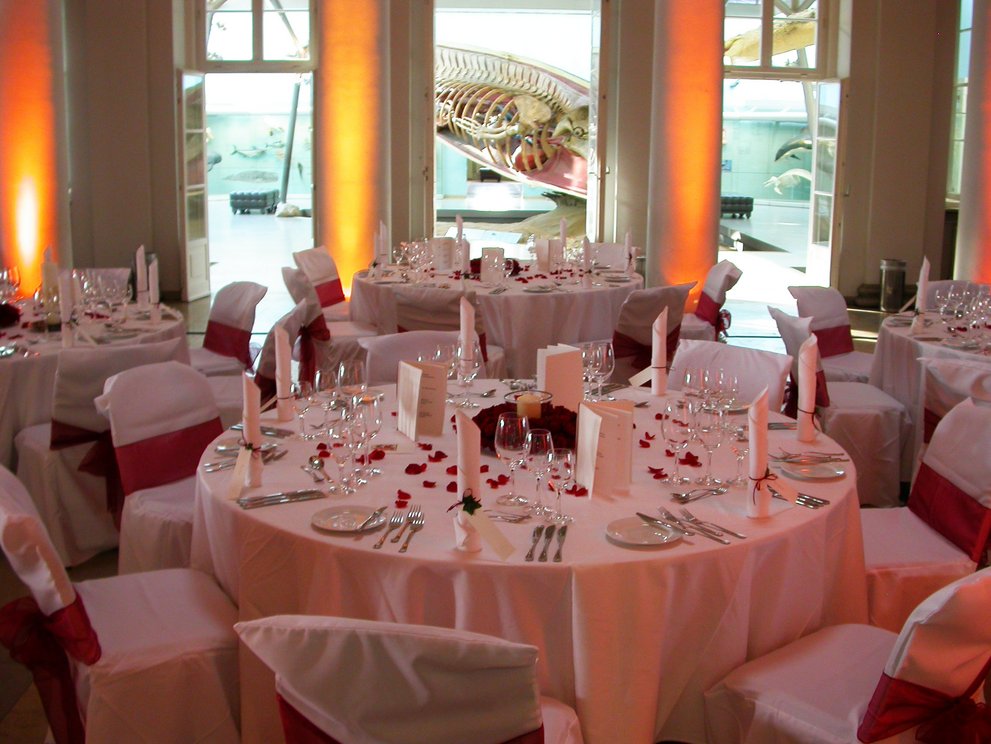 Vermietungen | Staatliches Museum für Naturkunde Stuttgart