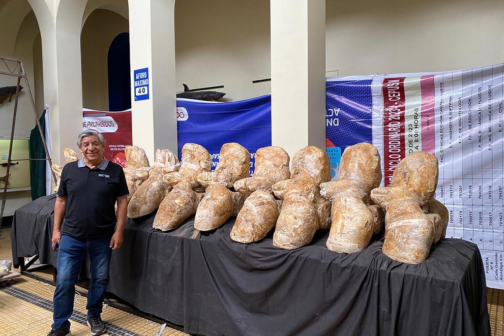 A whale of a discovery: Perucetus colossus, aka “the monster ...