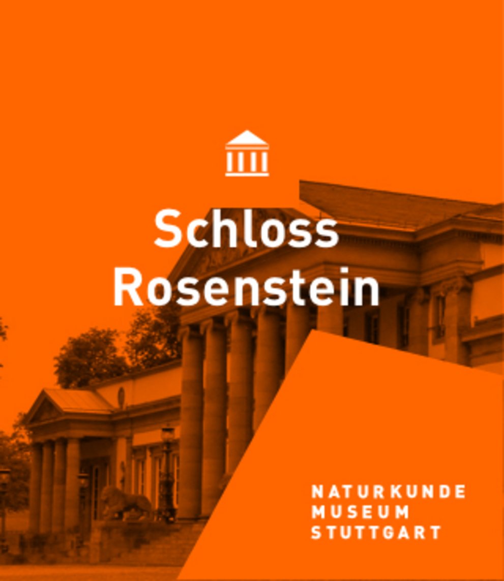 Stuttgart State Museum of Natural History | Staatliches Museum für ...